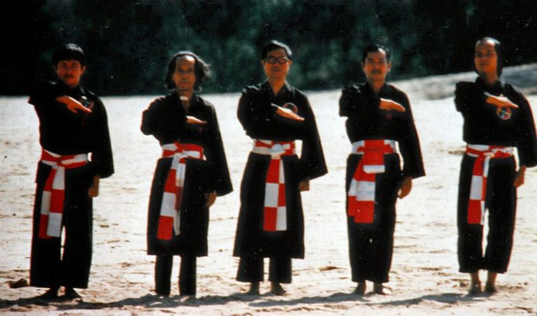 Le Viet Vo Dao - Viet Vo Dao | Thanh Long | Dai Viet Phai